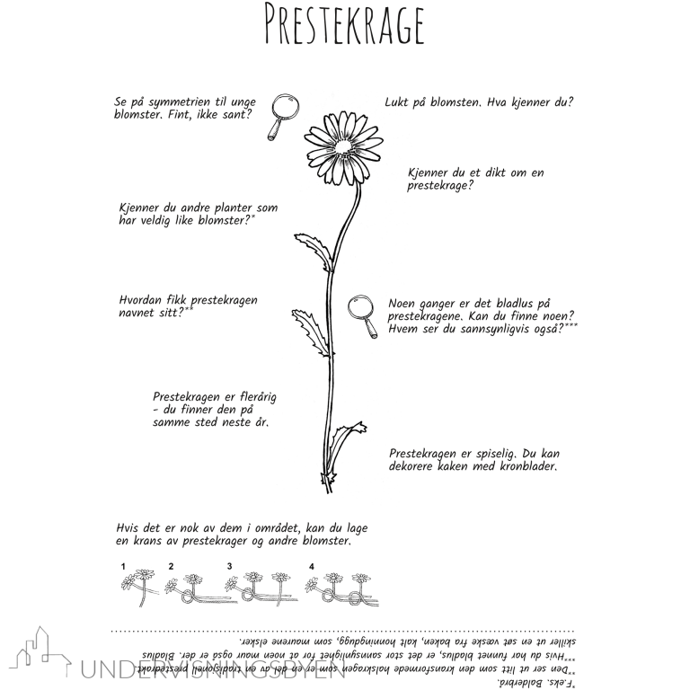 Fargelegg bilde | Undervisningsbyen.no